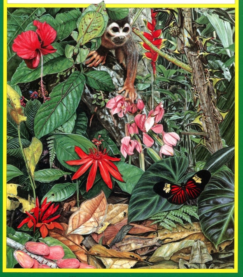 Adam Hook - Portfolios - Brighton Illustrators Group